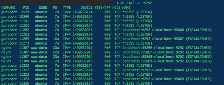 我们设置了8个worker，使用 lsof 命令，正常应该看到如下的场景：
